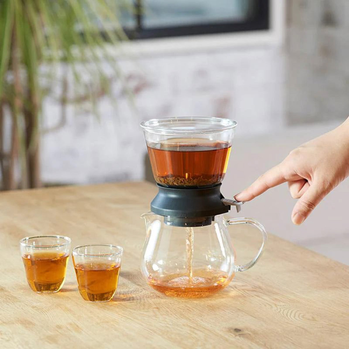 Hario Tea Largo 350ml– Gold Box Coffee Roasters